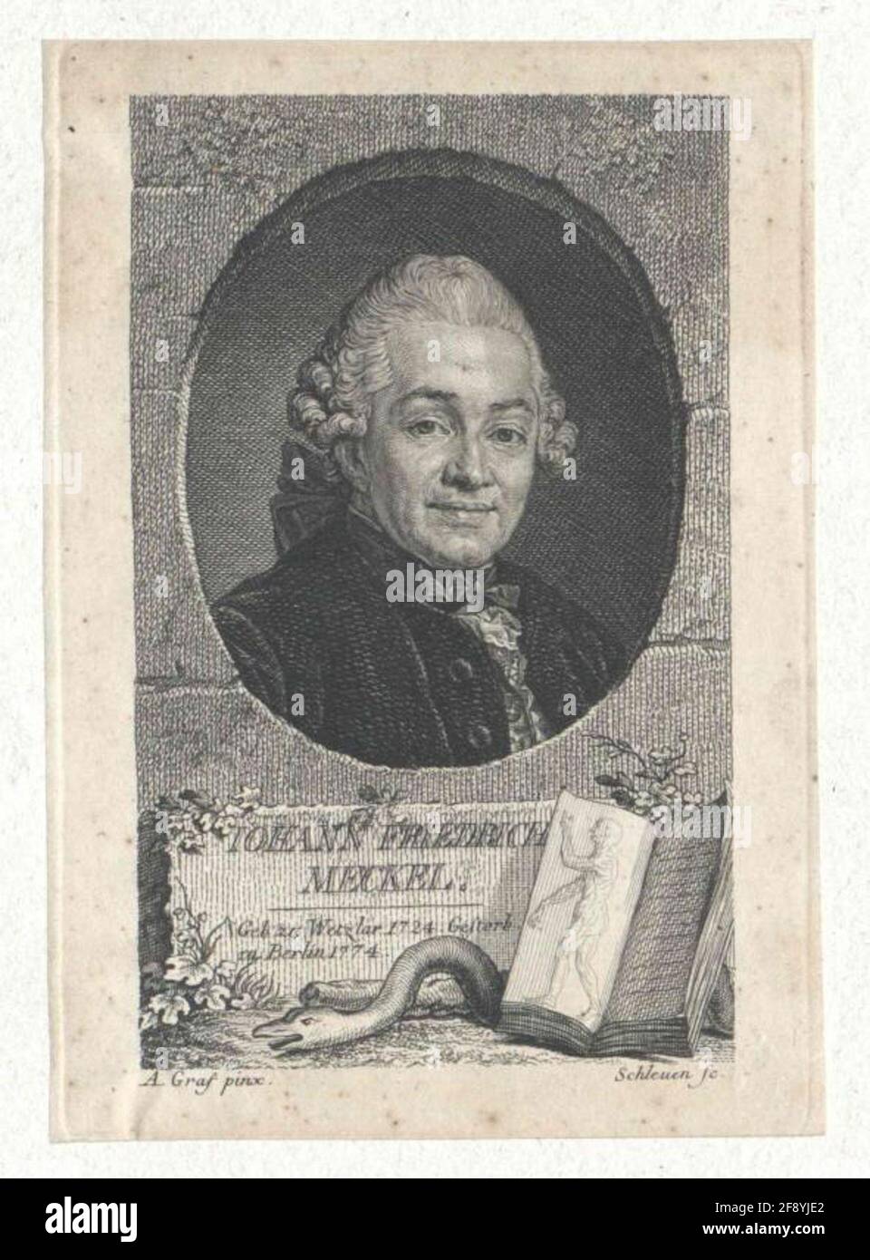 Johann meckel hi-res stock photography and images - Alamy