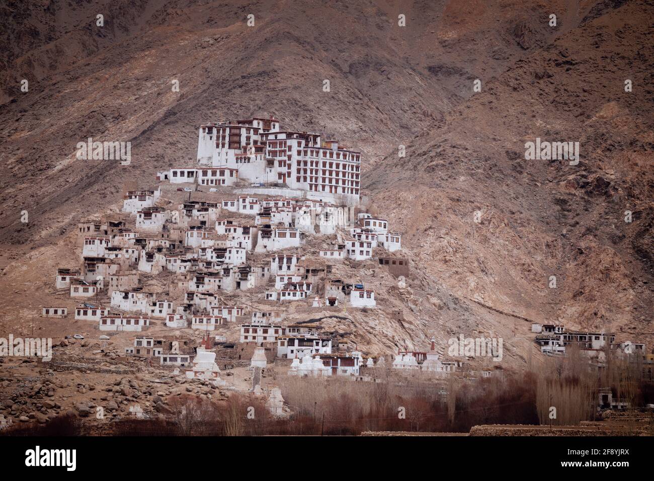 Takthok Monastery, Ladakh, Jammu and Kashmir, India Stock Photo - Alamy