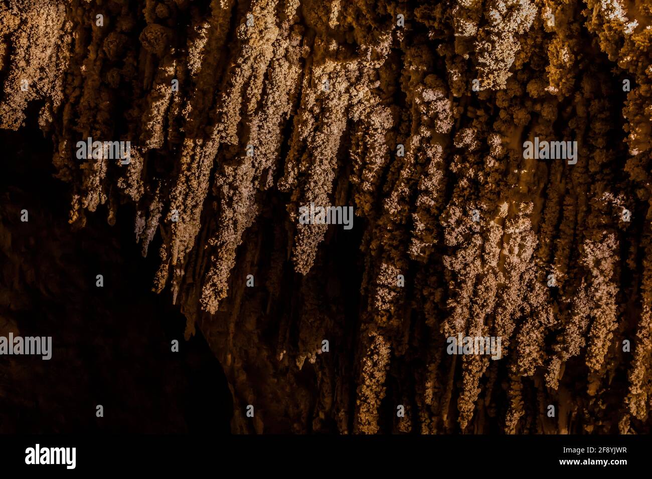 Cave Popcorn on stalactites deep underground in Carlsbad Caverns ...