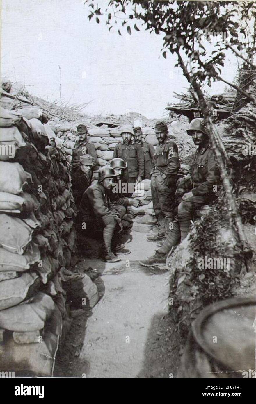 Fajti hrib hi-res stock photography and images - Alamy