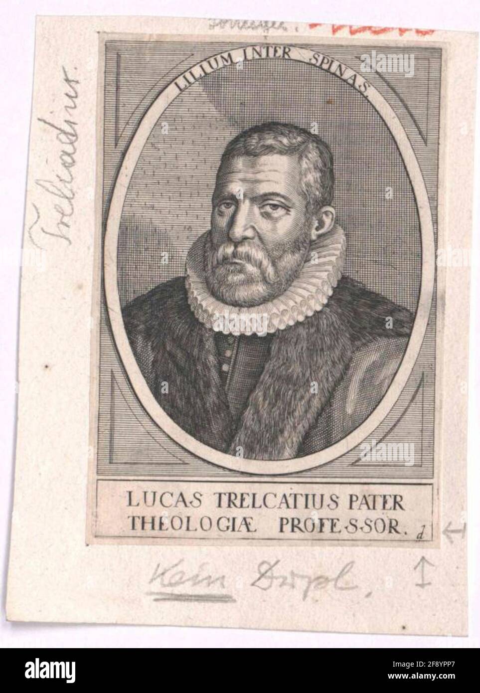 Lucas trelcatius hi-res stock photography and images - Alamy