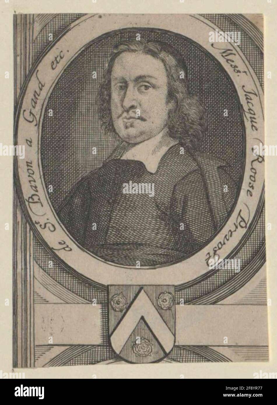 Roose hi-res stock photography and images - Alamy