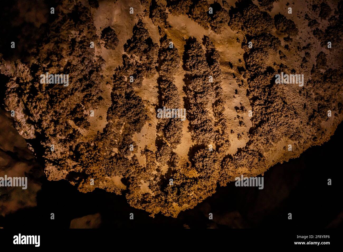 Cave Popcorn on stalactites deep underground in Carlsbad Caverns ...