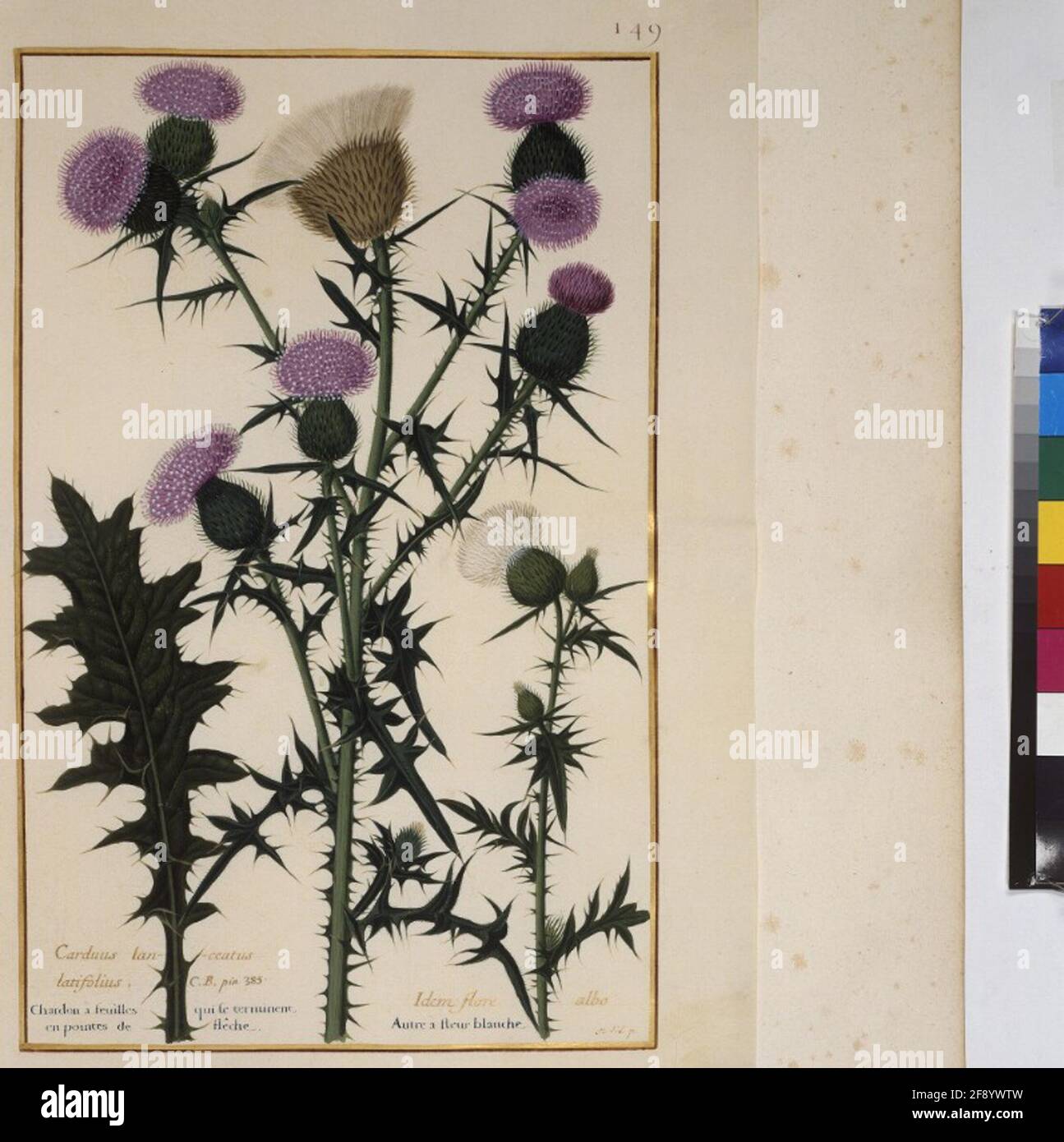 COD. Min. 53, vol. 3, Fol. 149R: Florilegium of Prince Eugene of Savoy ...