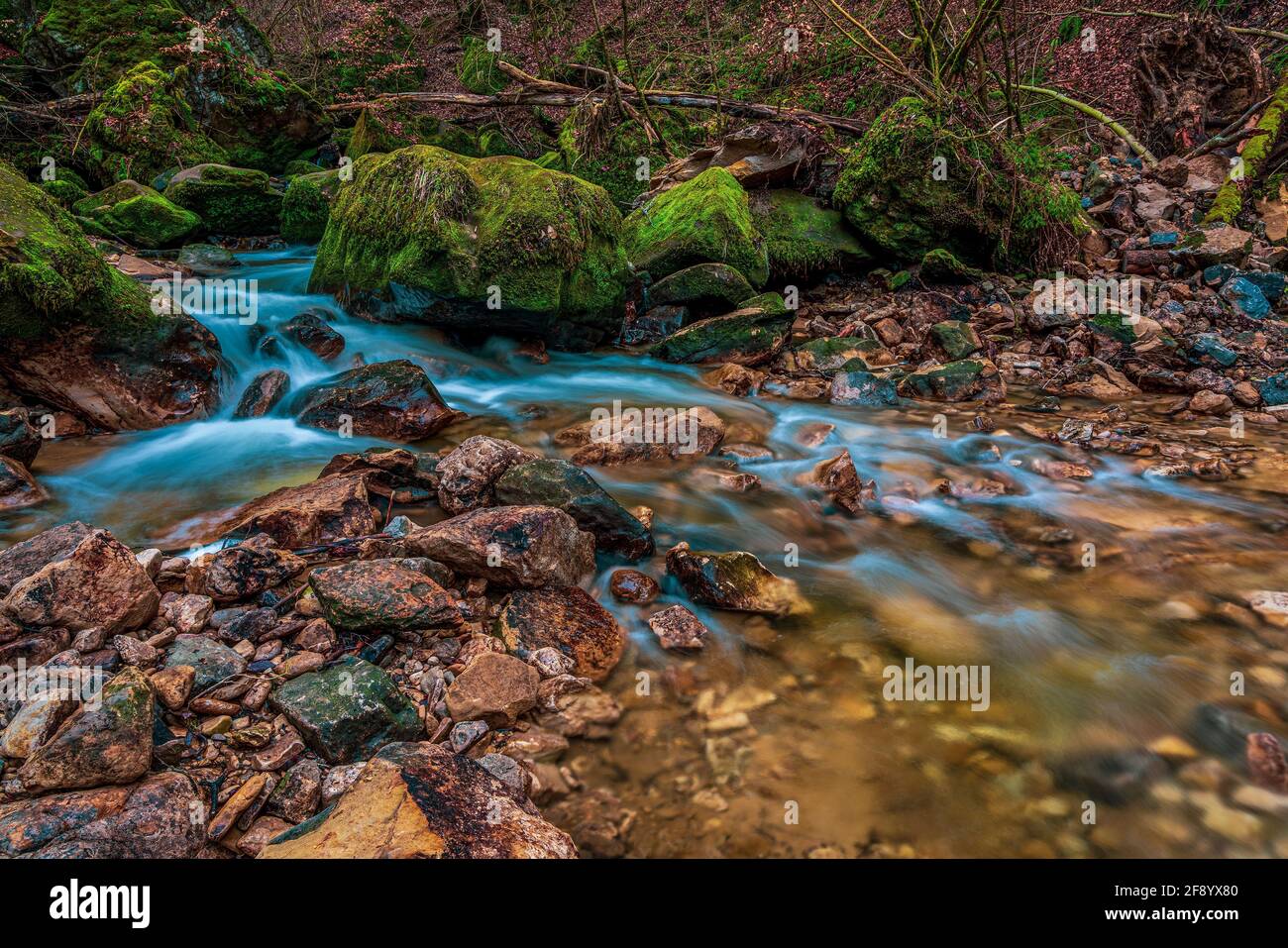 Black Ernz, river in the German-Luxembourgish nature park Stock Photo ...