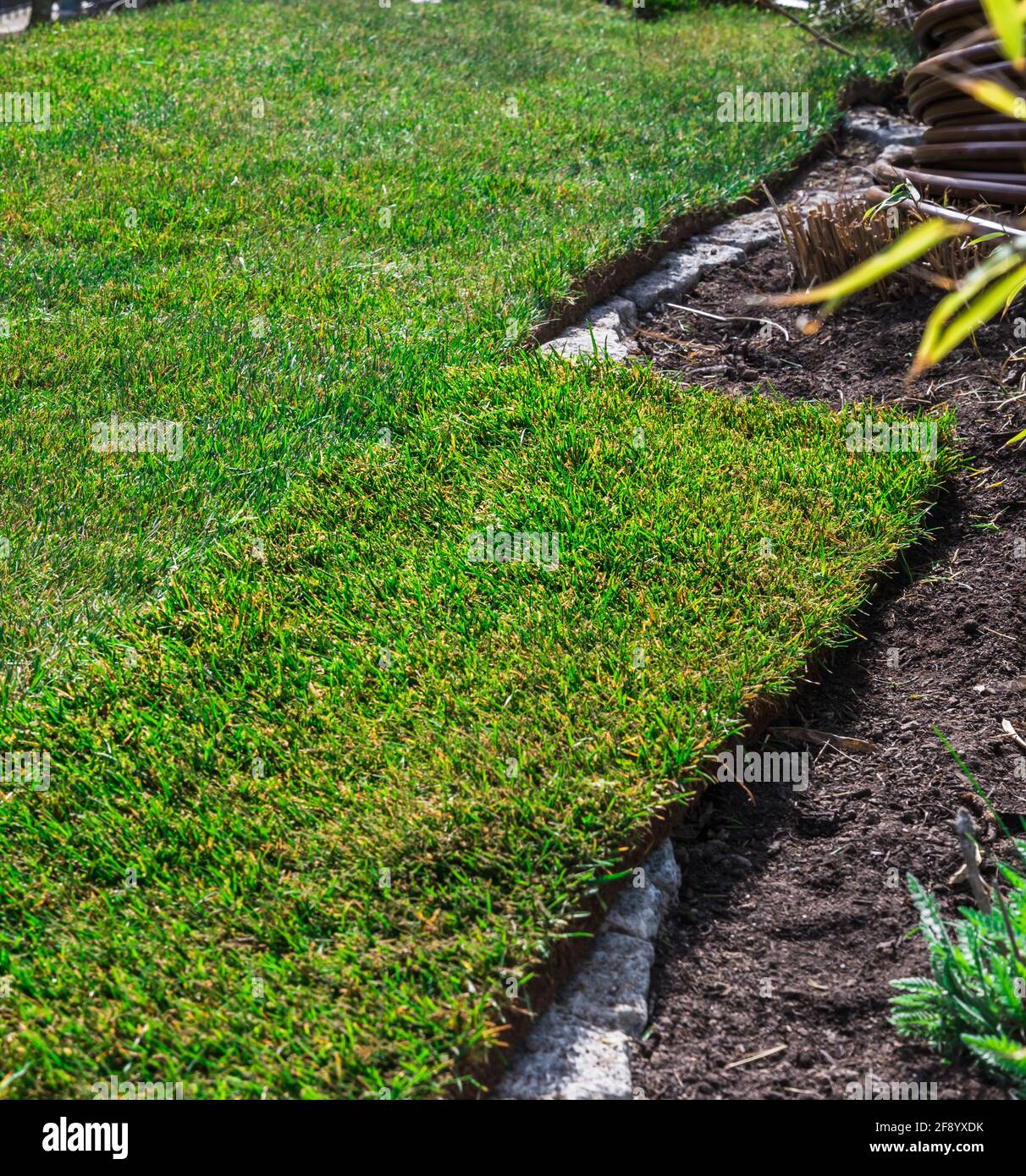 Newly laid turf that still has to be cut off at the bed edges Stock ...
