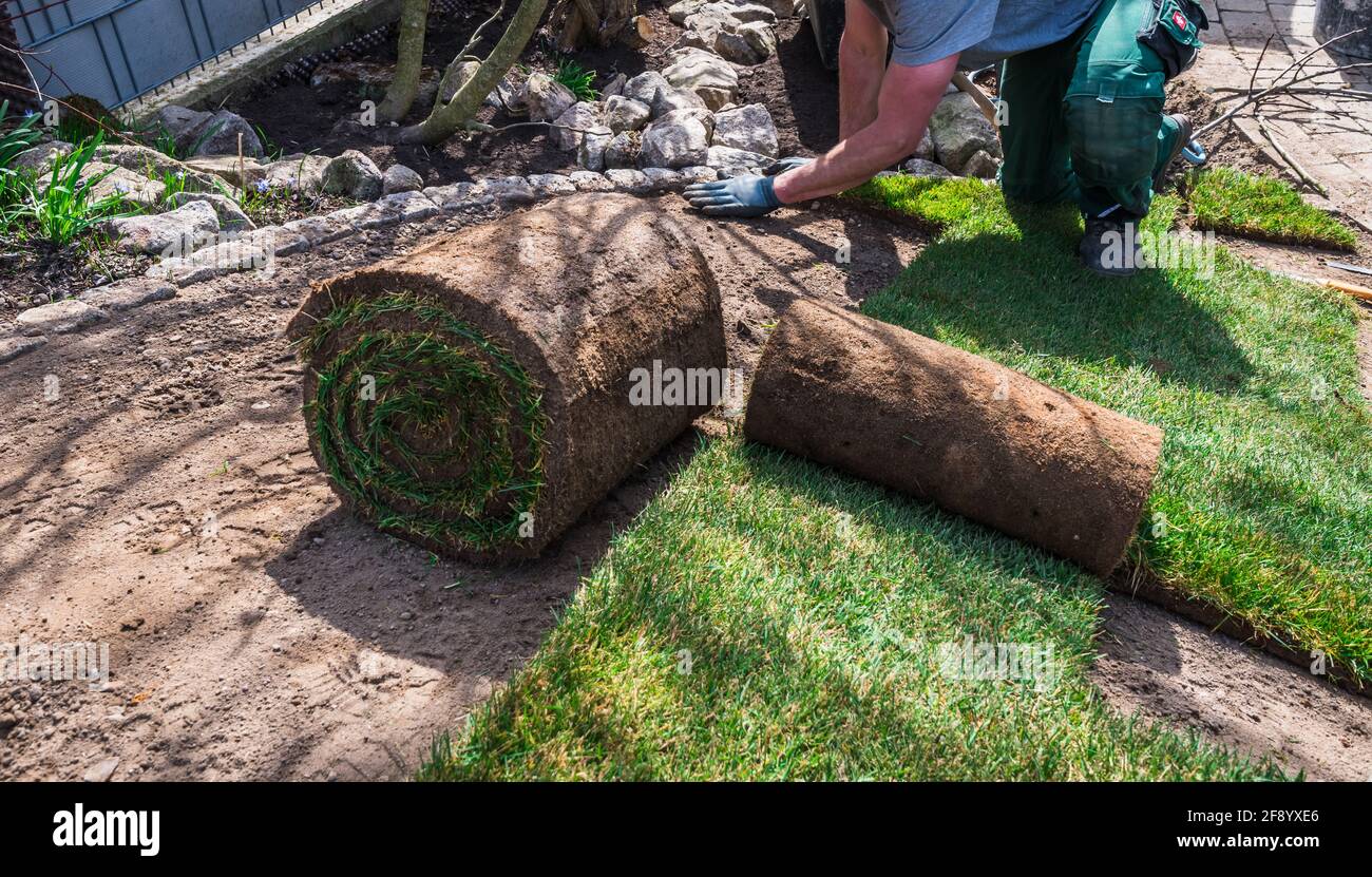 Gardener laying turf in a home garden on sloping terrain Stock Photo ...