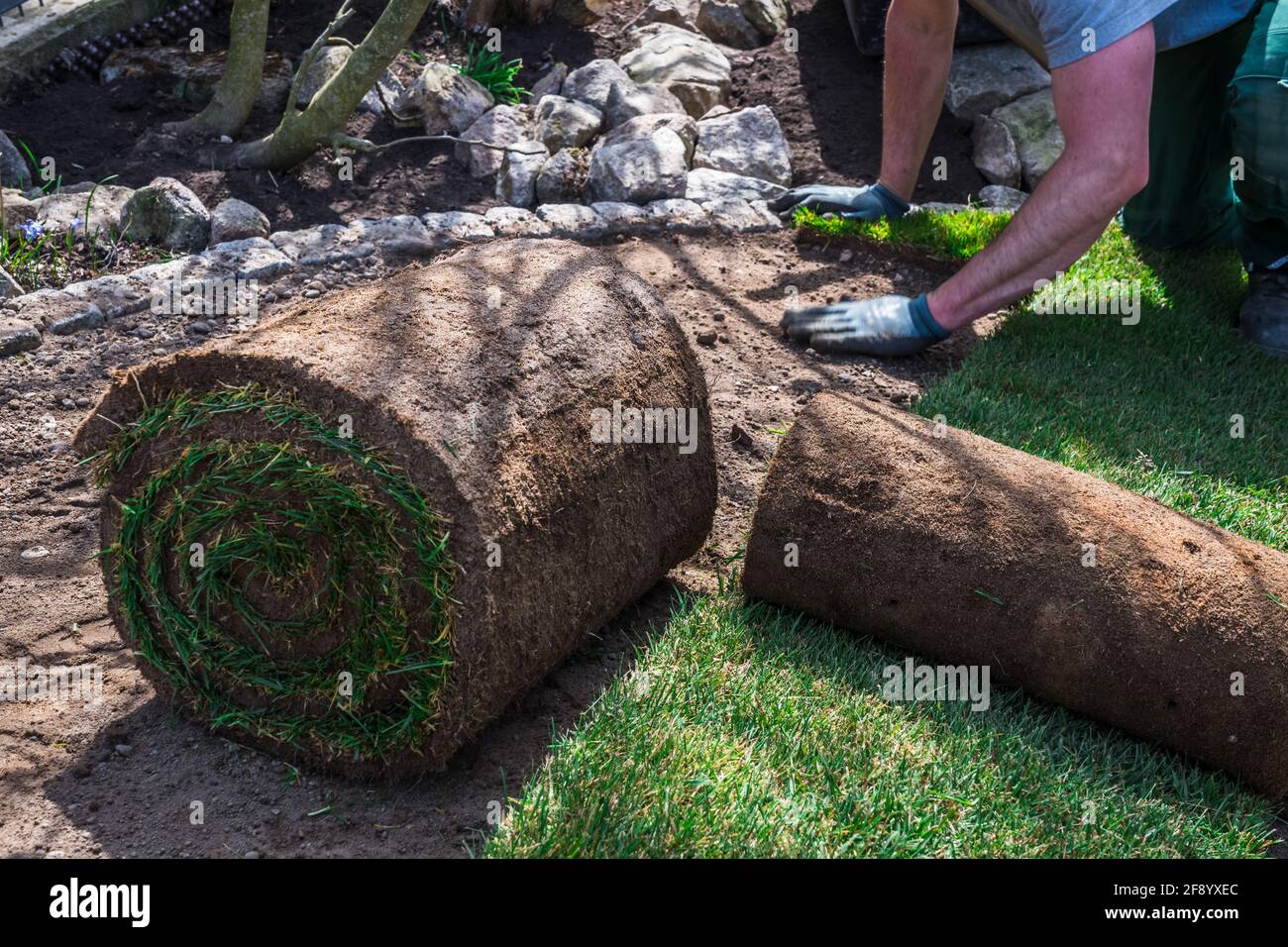 Gardener laying turf in a home garden on sloping terrain Stock Photo ...