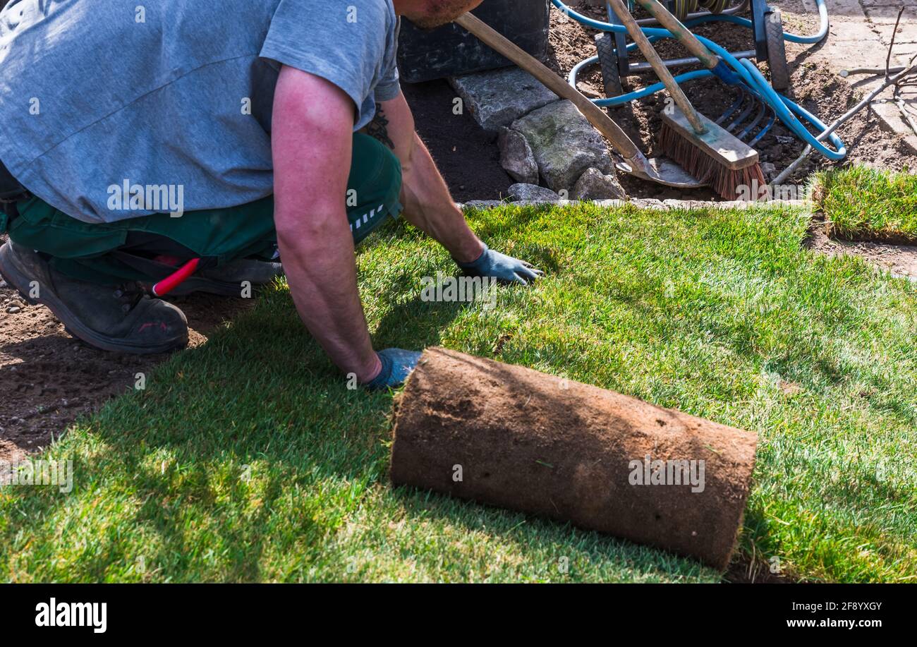 Gardener laying turf in a home garden on sloping terrain Stock Photo ...