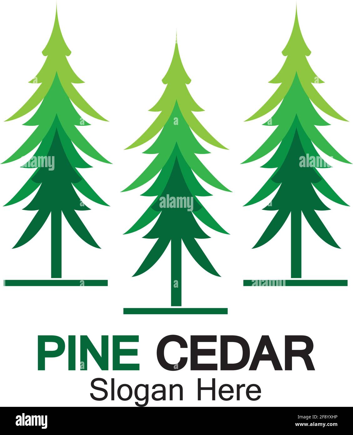 Cedar Tree Logo