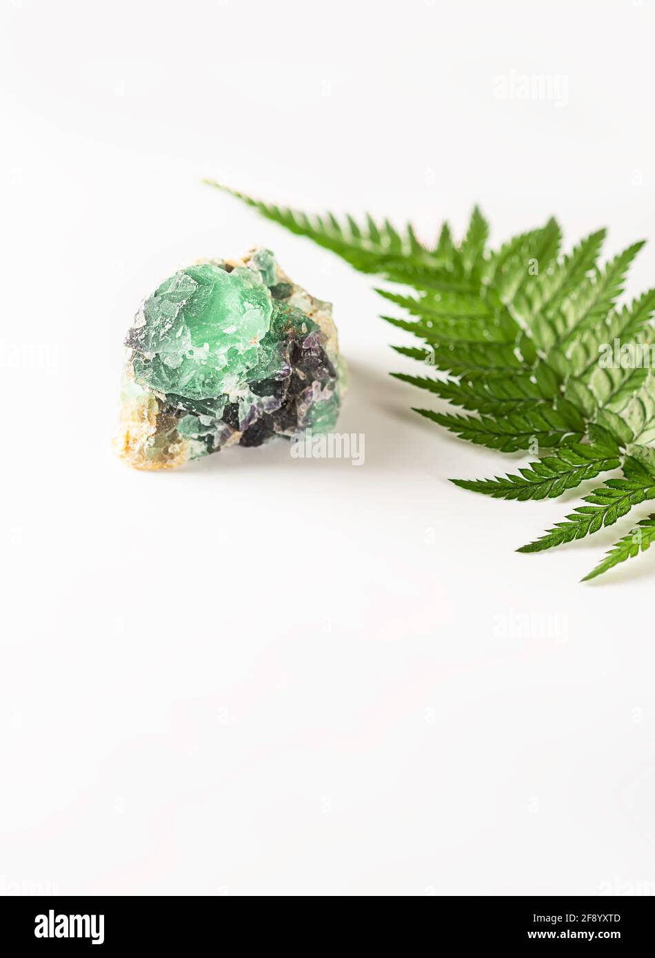 Healing Crystals and a fern branch. Natural gemstones. Gemstones are ...