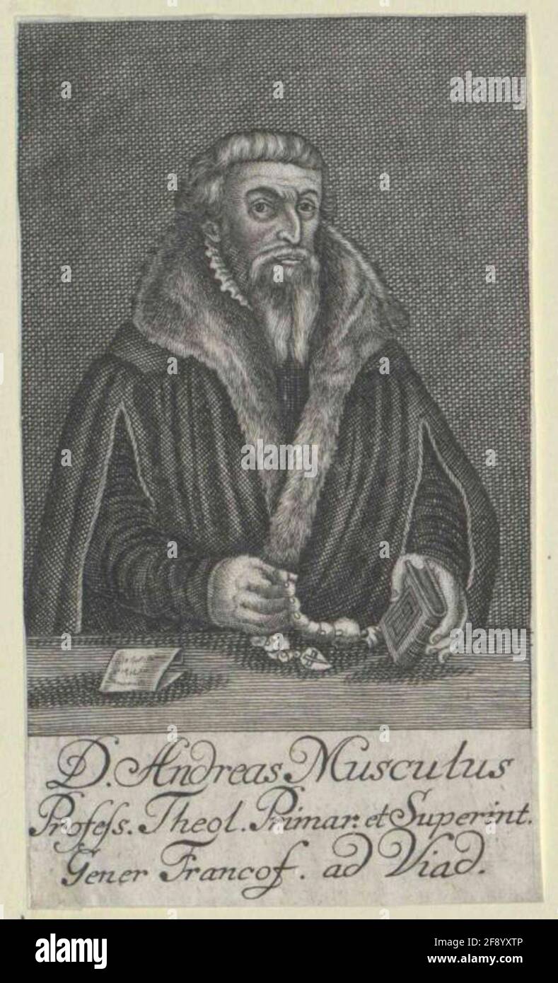 Andreas musculus hi-res stock photography and images - Alamy