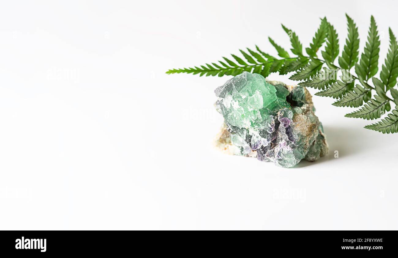 Healing Crystals and a fern branch. Natural gemstones. Gemstones are ...