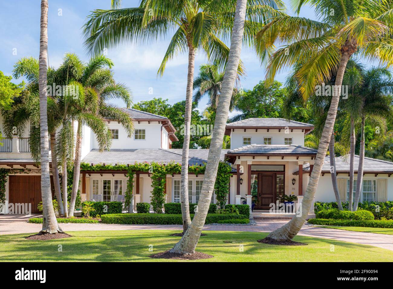 Luxury home and Palm Trees along the Gulf Coast in Naples, Florida, USA ...