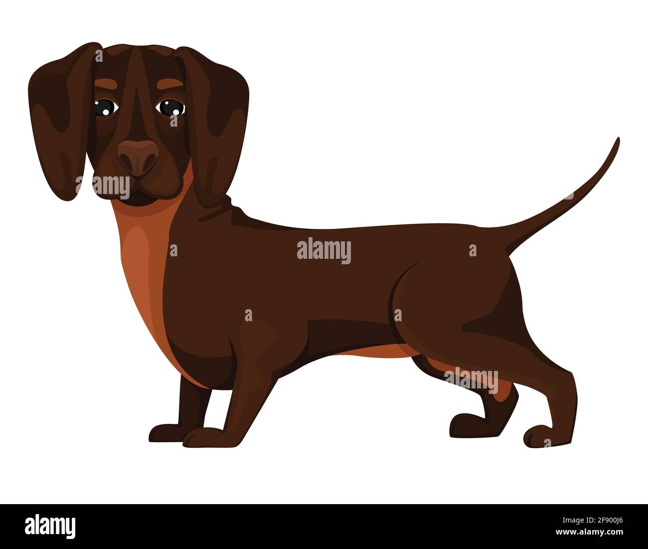 Cartoon dachshund hi-res stock photography and images - Alamy