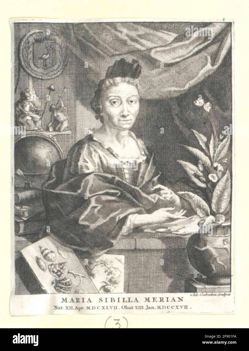 Maria Sibylla Merian Bilder