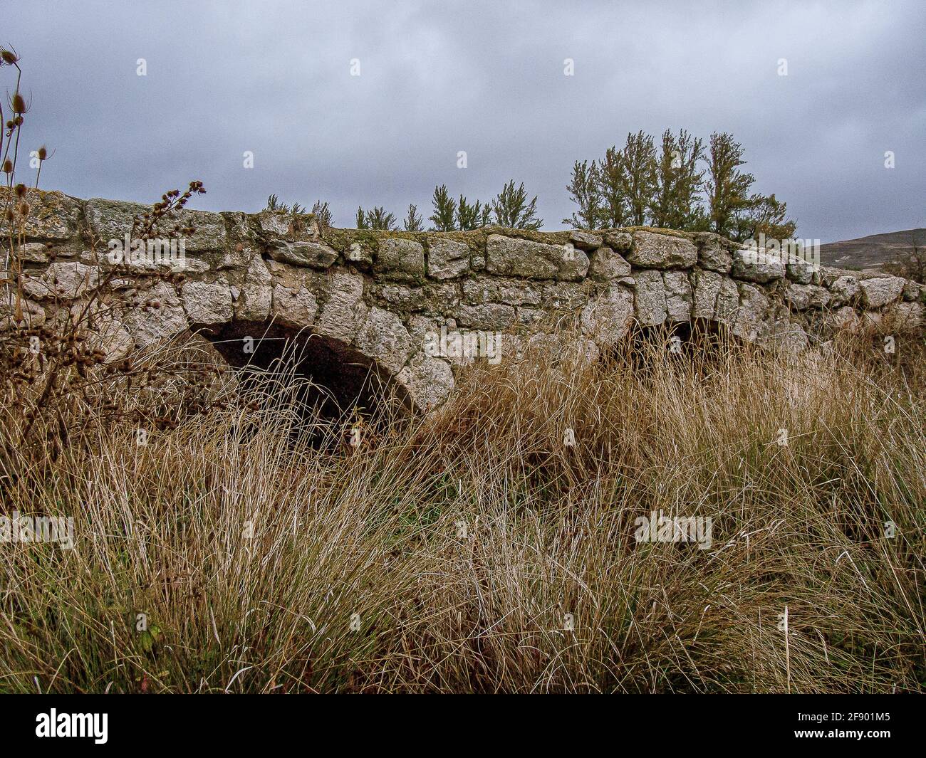 two brick vaults of stones of a medieval bridge among the yellow dry ...