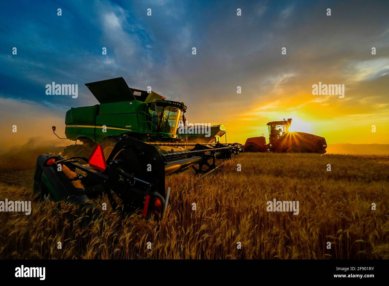 Harvest and seed hi-res stock photography and images - Alamy