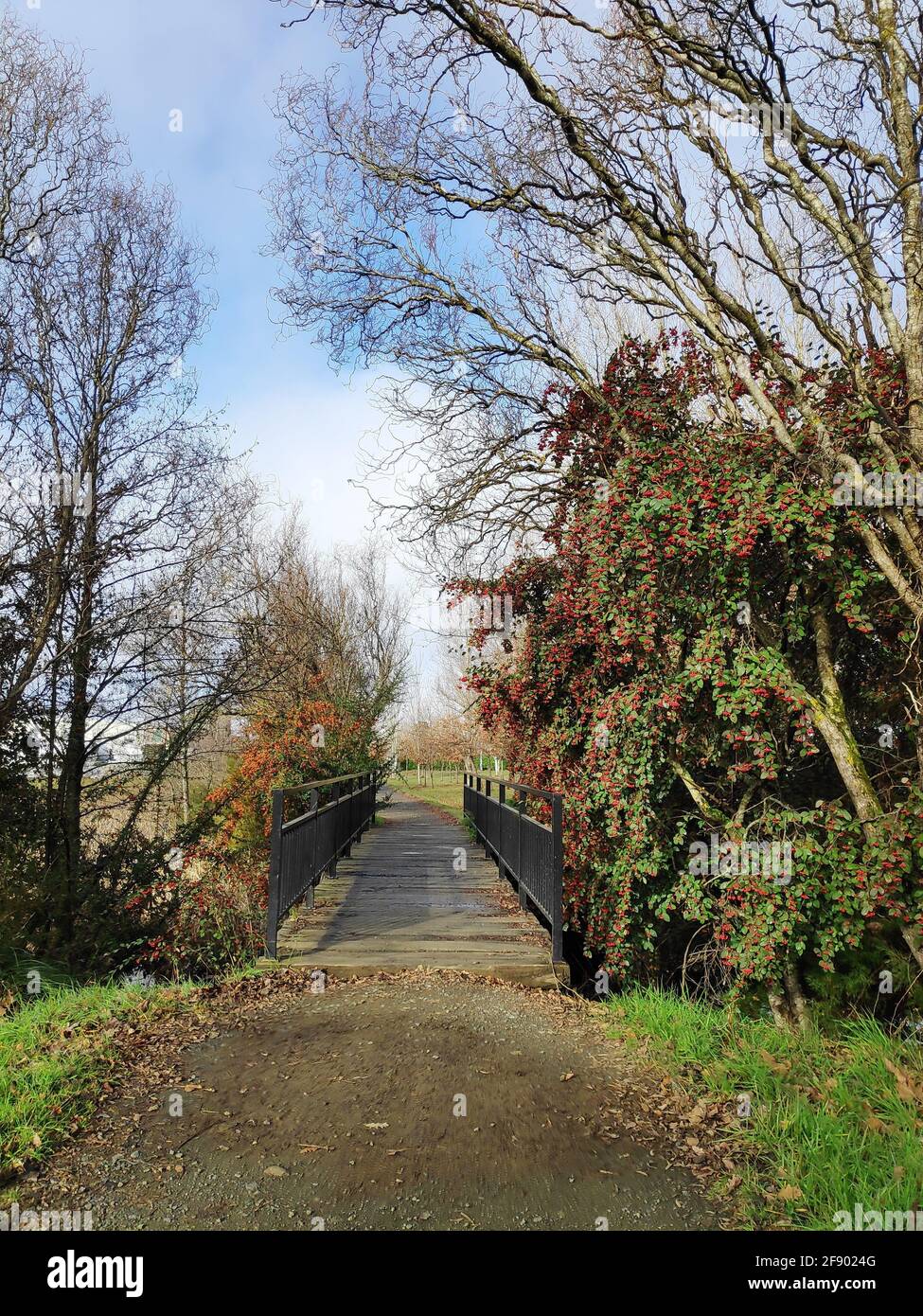 Bridge in a park leading to the field with tre Stock Photo - Alamy