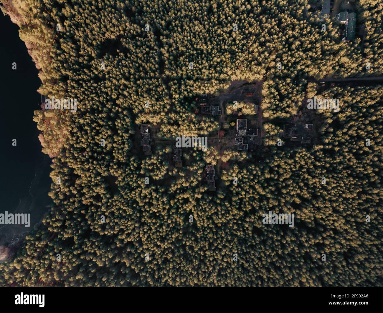 Aerial shot of a forest surrounded by a river under the sunlight ...