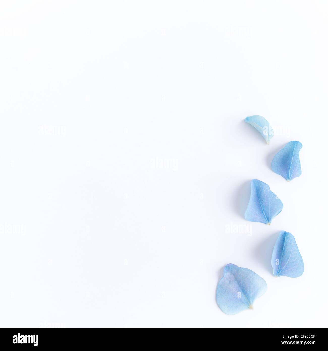 Flat lay blue color Cut Out Stock Images & Pictures - Alamy