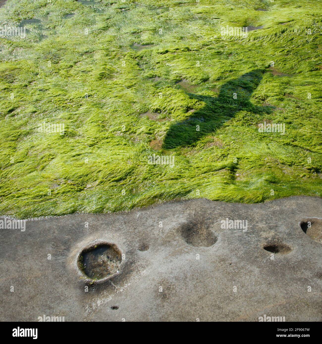 Aerial flying on the beach hi-res stock photography and images - Alamy