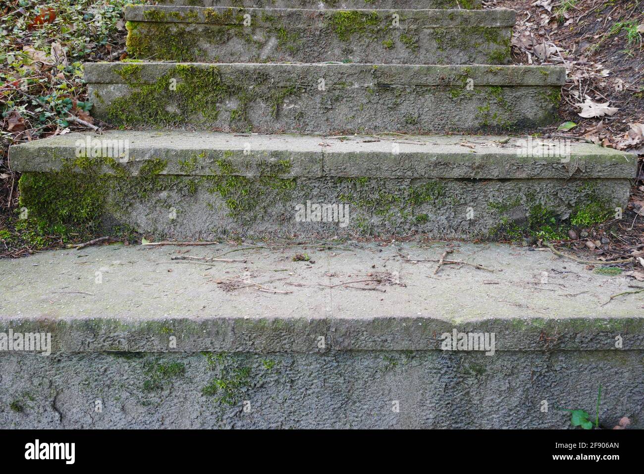 Old stone stairs overgrown hi-res stock photography and images - Alamy