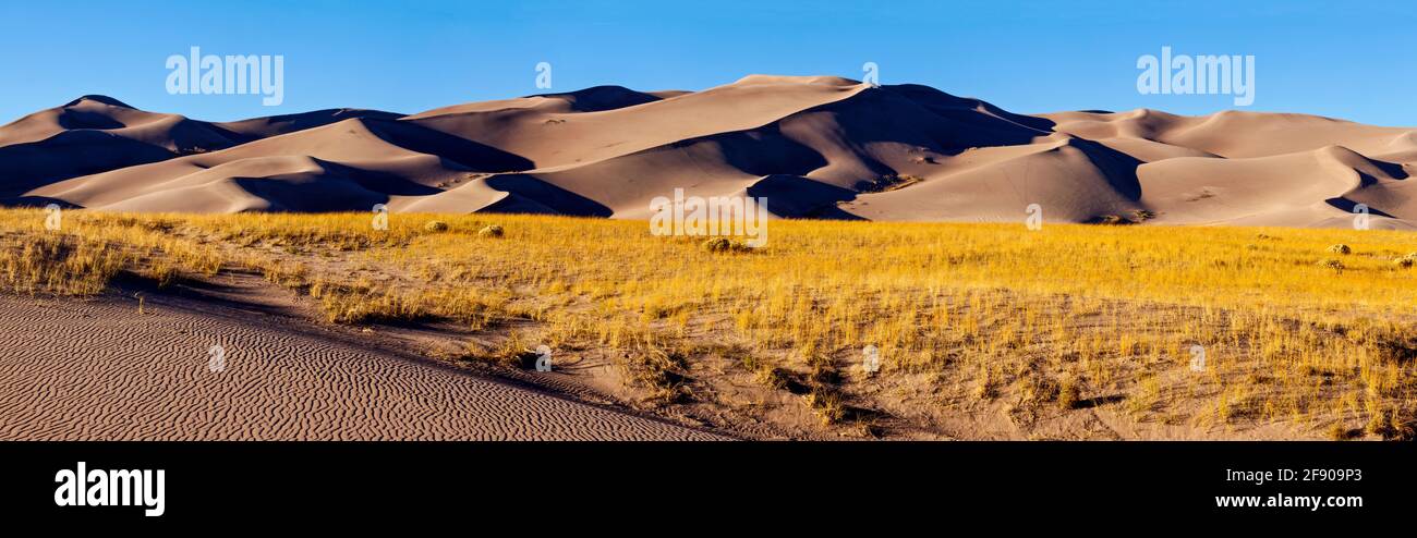 Native dune grass hi-res stock photography and images - Alamy