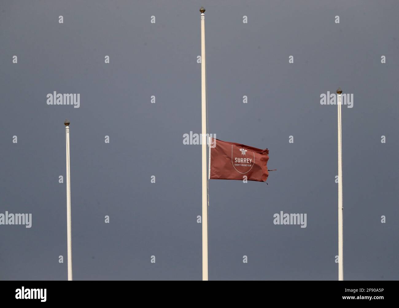 The surrey county cricket flag flies half mast oval hi-res stock ...