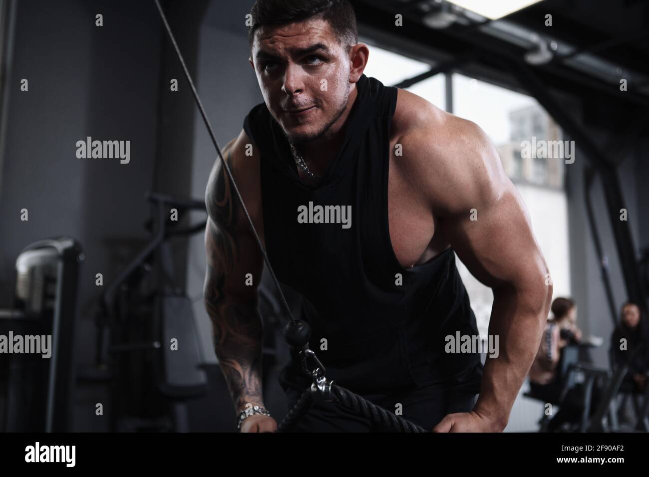 Low angle shot of a huge muscular bodybuilder exercising in cable ...