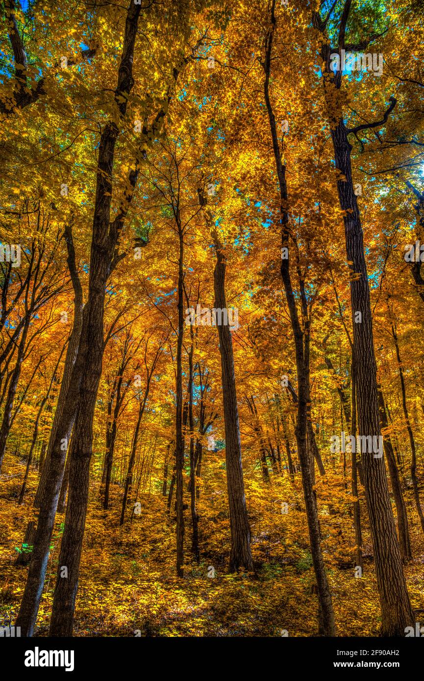 Minnesota landscape arboretum hi-res stock photography and images - Alamy