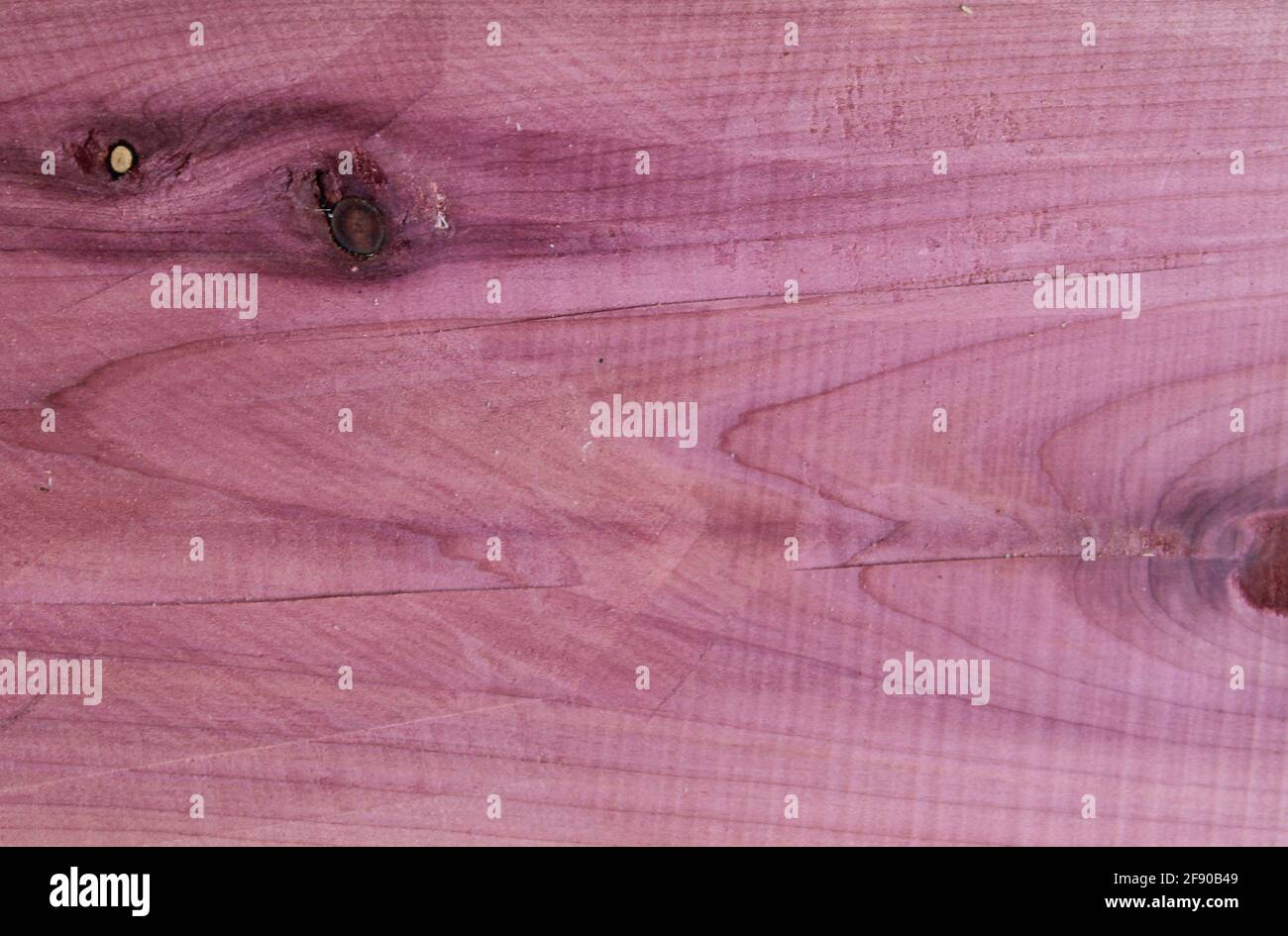 A Close-Up of Aromatic Red Cedar Wood Grain, Freshly Cut Stock Photo ...