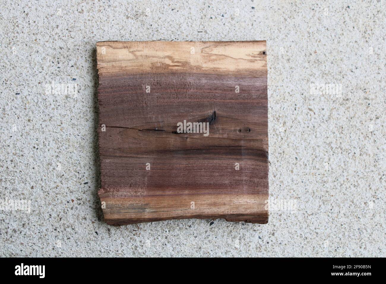 A Small Slice of American Black Walnut Wood Stock Photo - Alamy