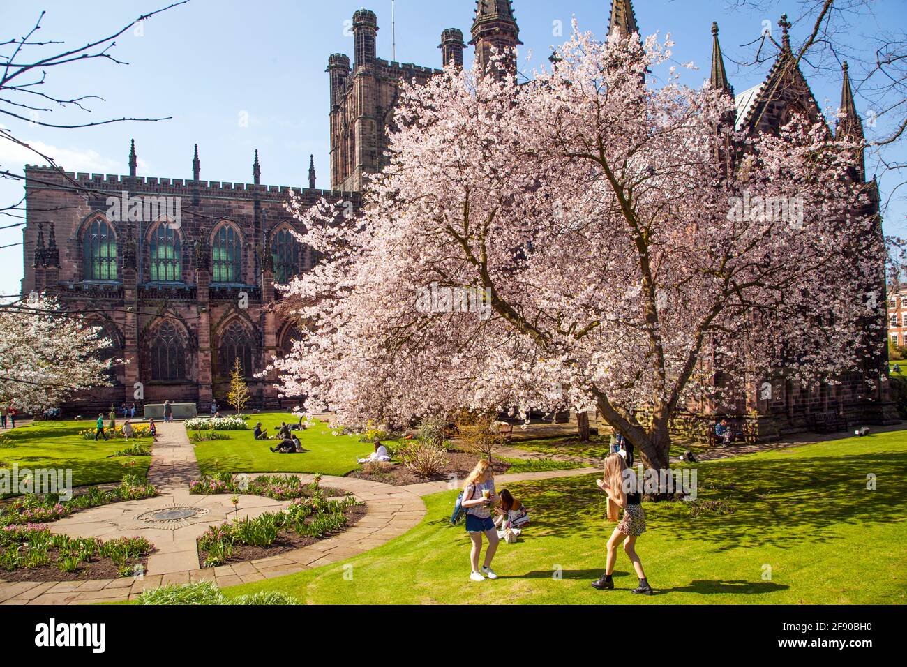 Chester Cheshire Cathedral grounds and gardens seen in springtime with ...