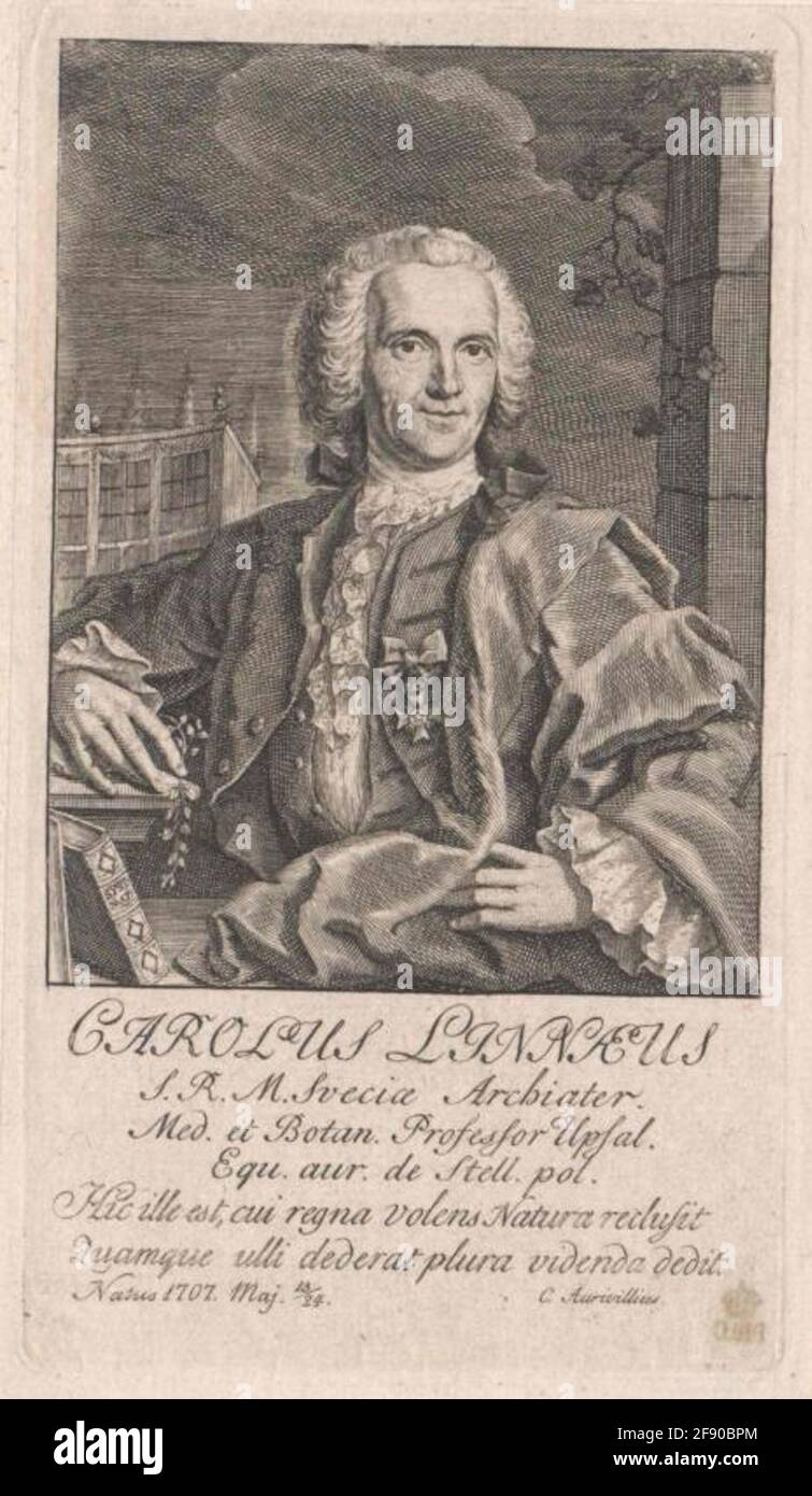 Charles linne hi-res stock photography and images - Alamy