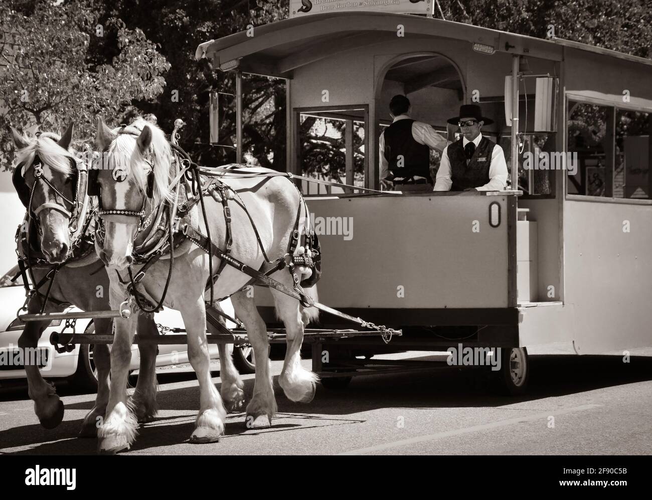 Old town trolley tours driver hi-res stock photography and images - Alamy