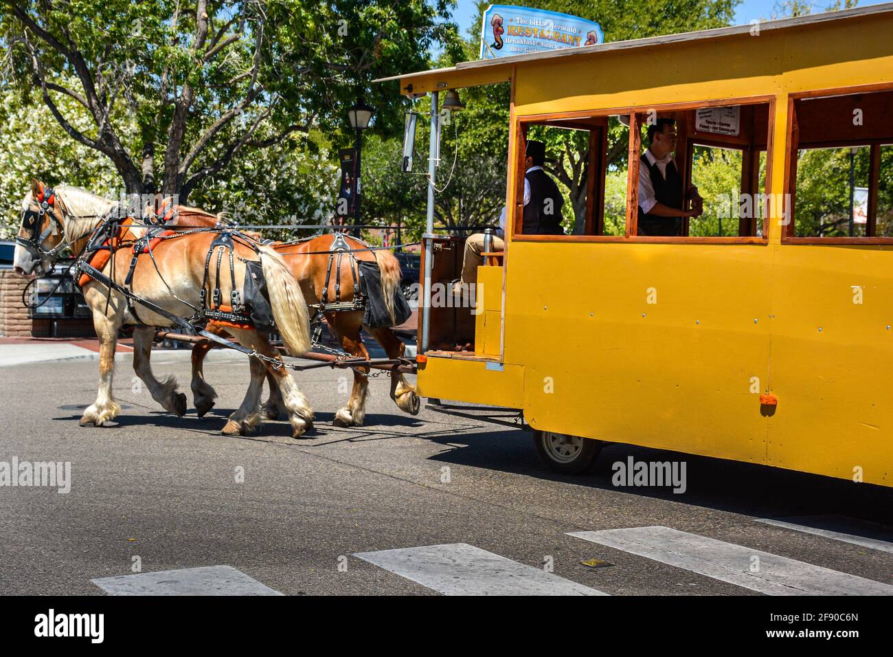 A driver and narrater of a sight seeing tour in an old trolley pulled ...