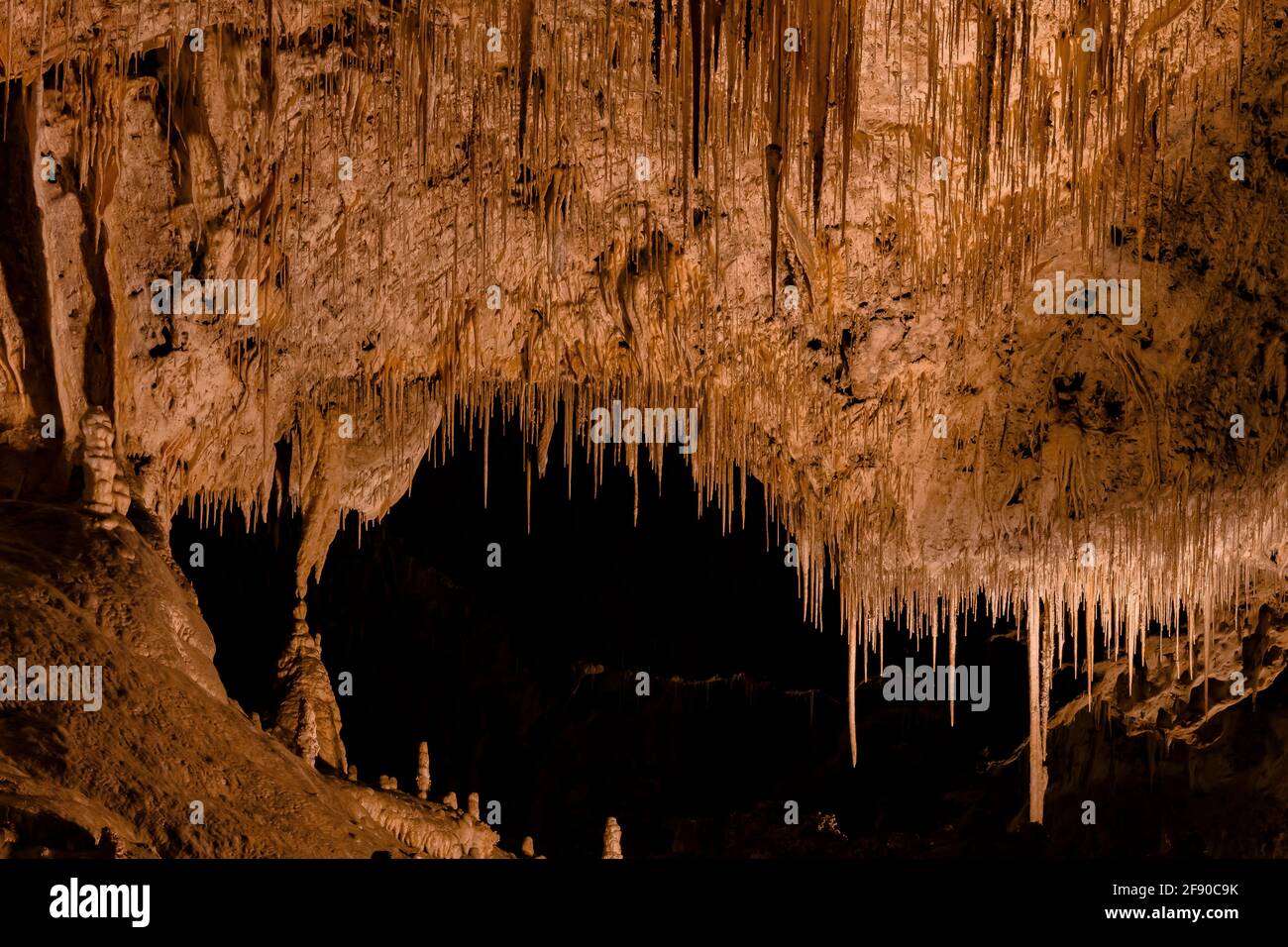 Soda straw formations at Painted Grotto along Big Room Trail in deep ...
