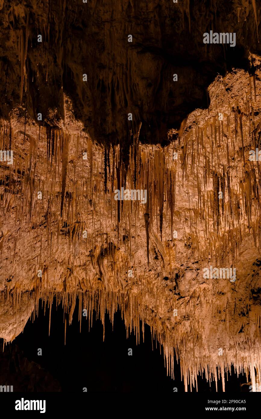 Soda straw formations at Painted Grotto along Big Room Trail in deep ...