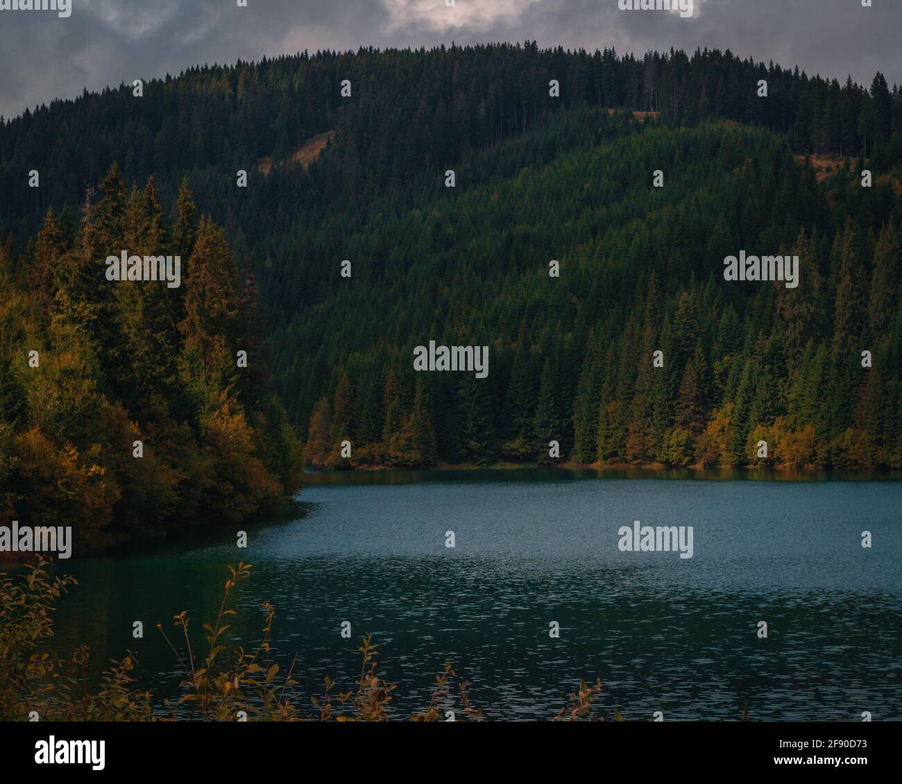Icy point strait hi-res stock photography and images - Alamy