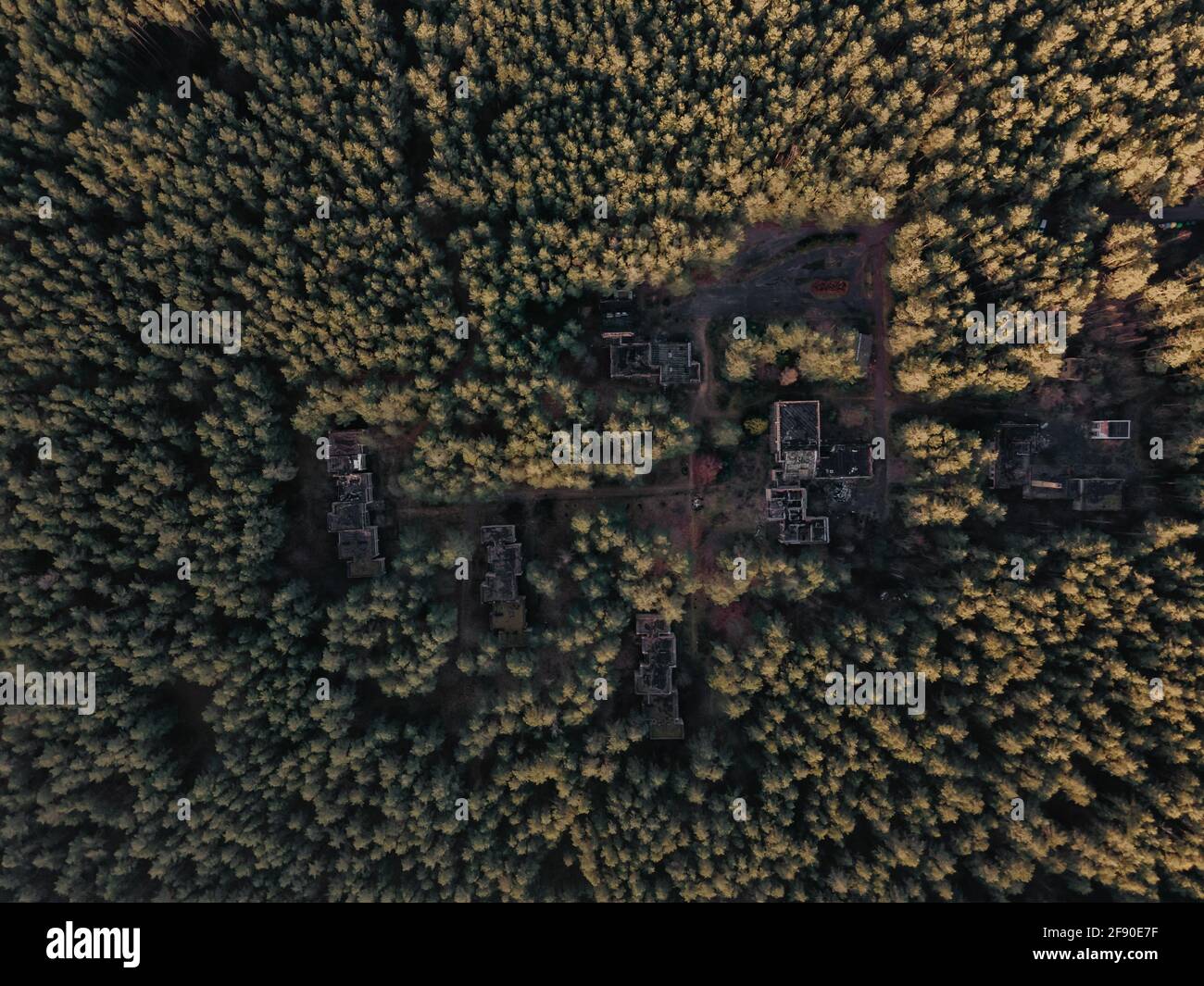Aerial shot of buildings in a forest covered in greenery under the ...