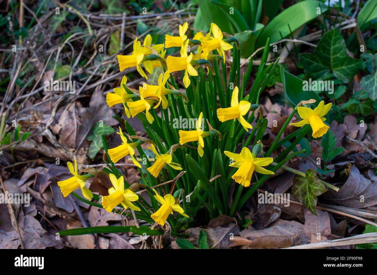 Easter bells hi-res stock photography and images - Alamy