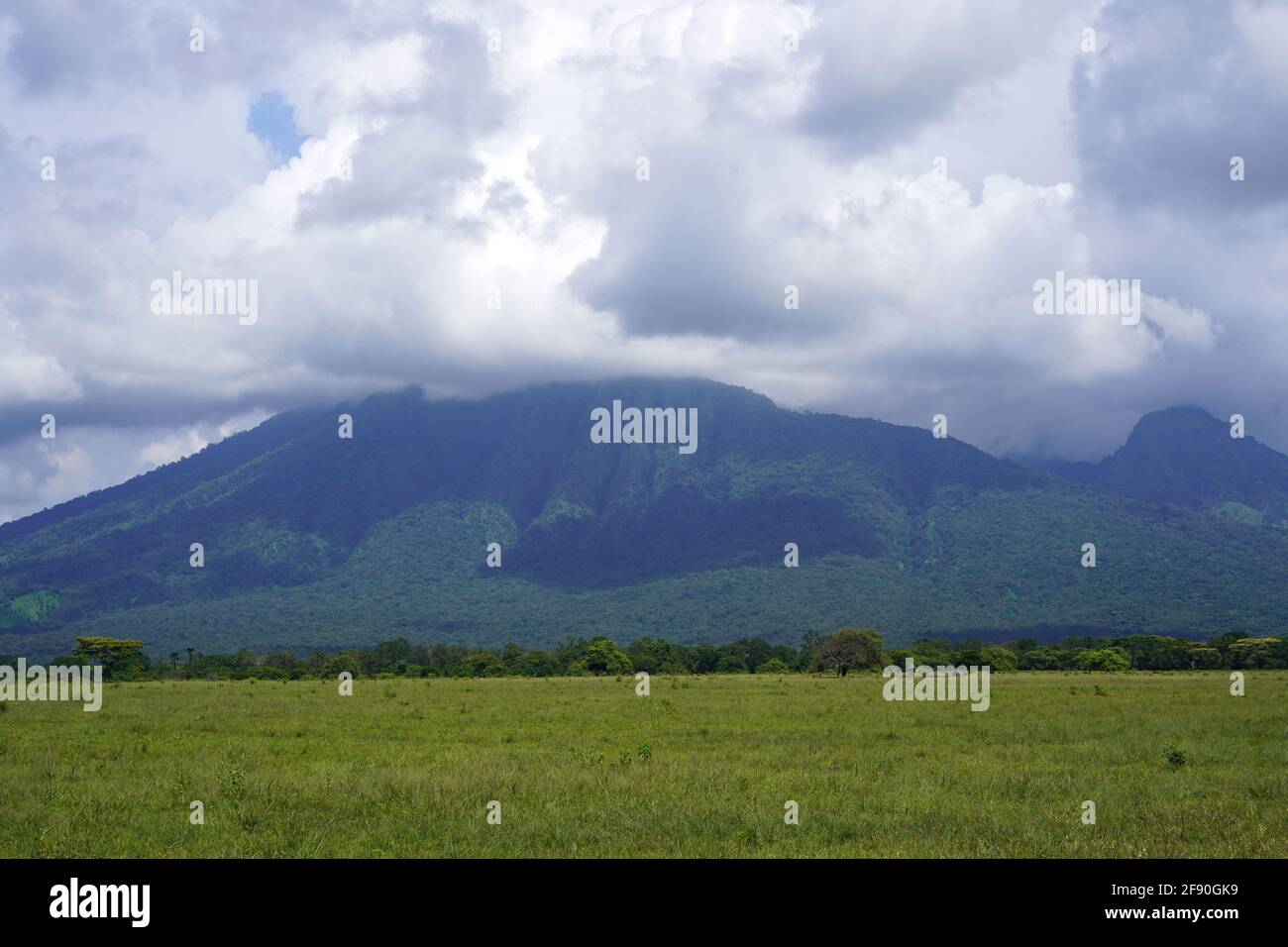 View of an open green field and Baluran Mount in the background of ...