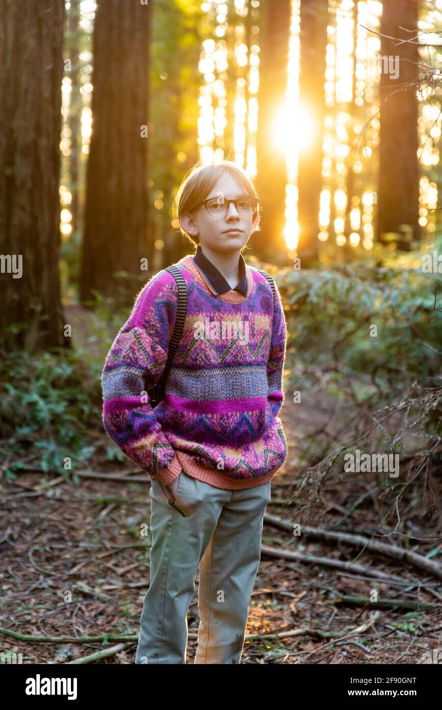 Portrait of young person standing in forest with sun setting Stock ...