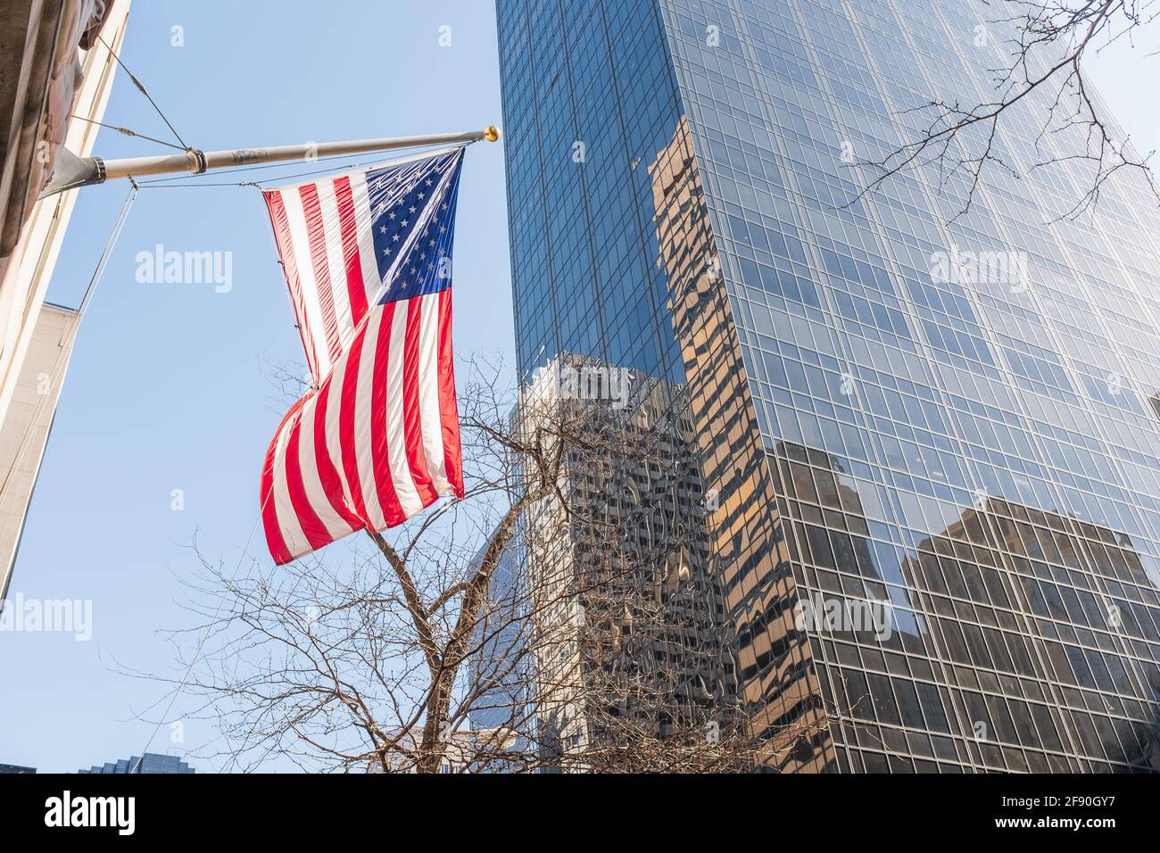 Democracy tree hi-res stock photography and images - Alamy