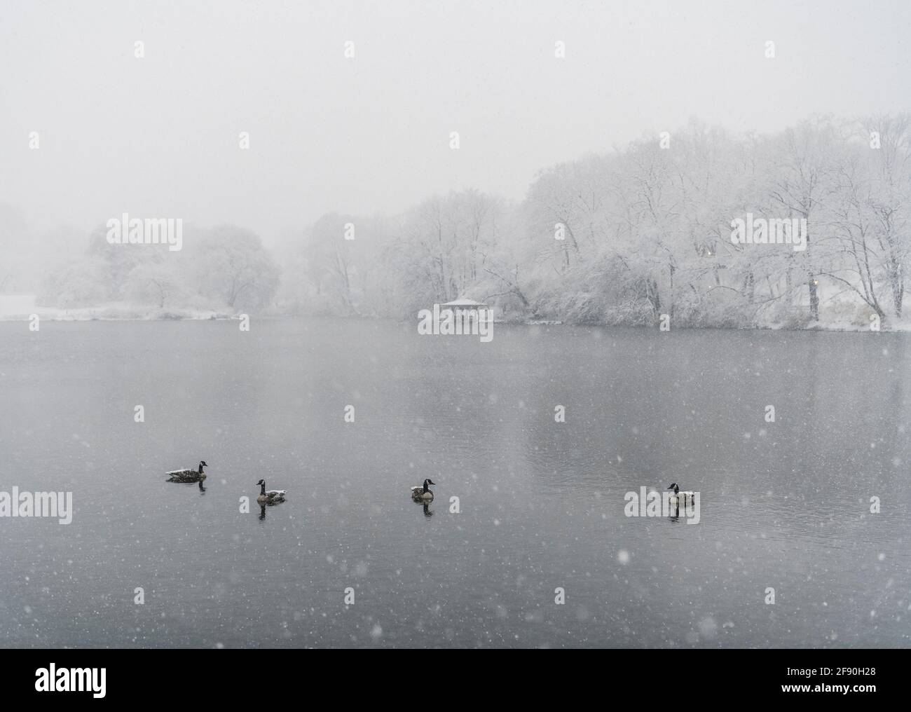 Cold river hi-res stock photography and images - Alamy