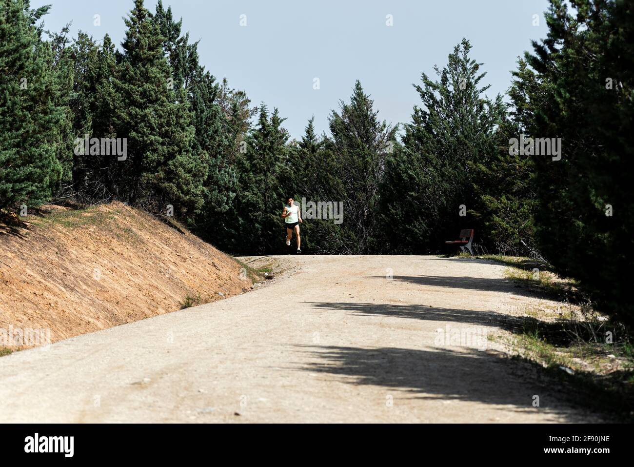 Latin American man running on a nature trail in the forest Stock Photo ...