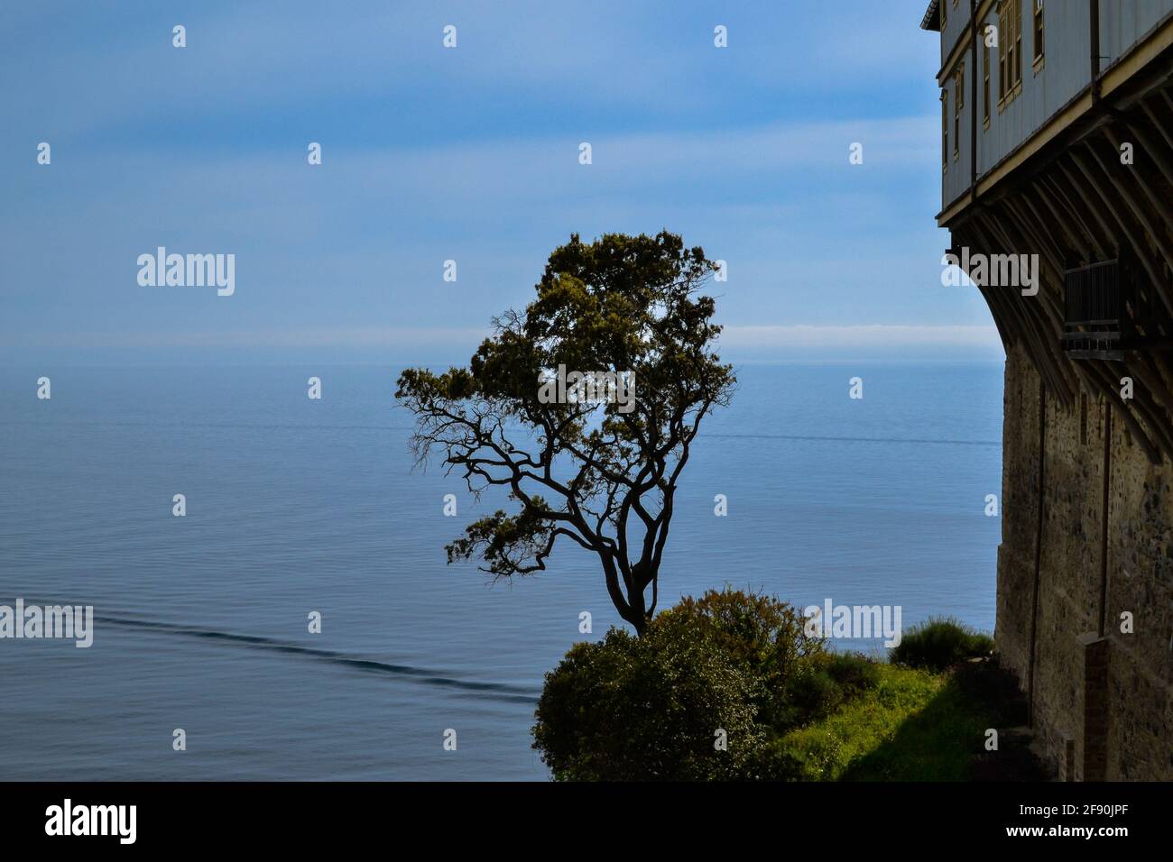Tree over water waves hi-res stock photography and images - Alamy