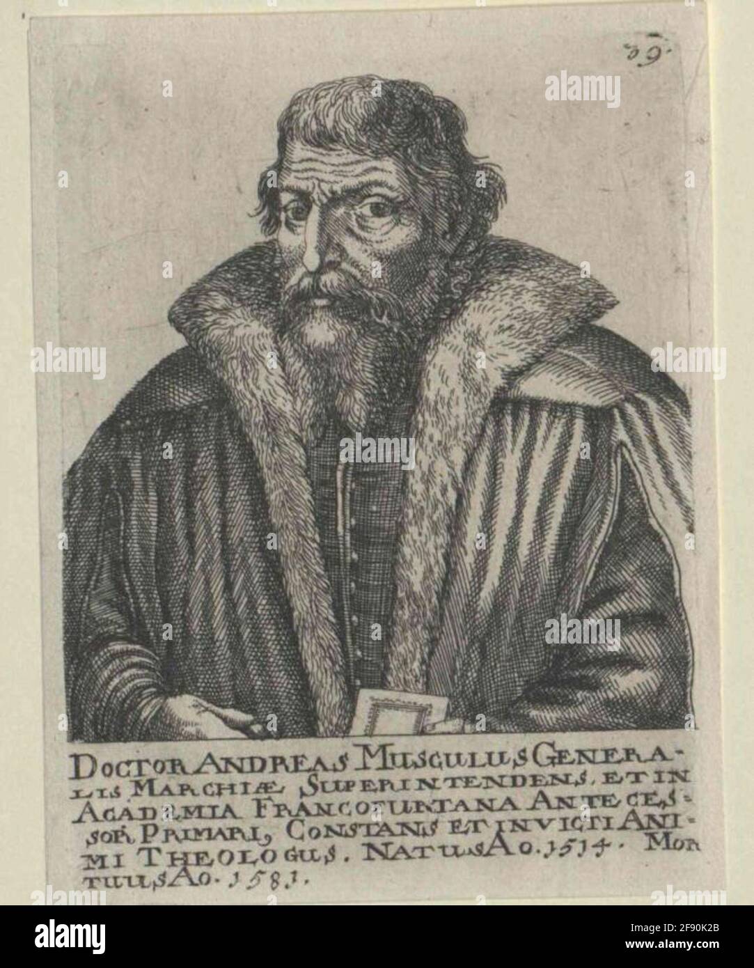 Andreas musculus hi-res stock photography and images - Alamy