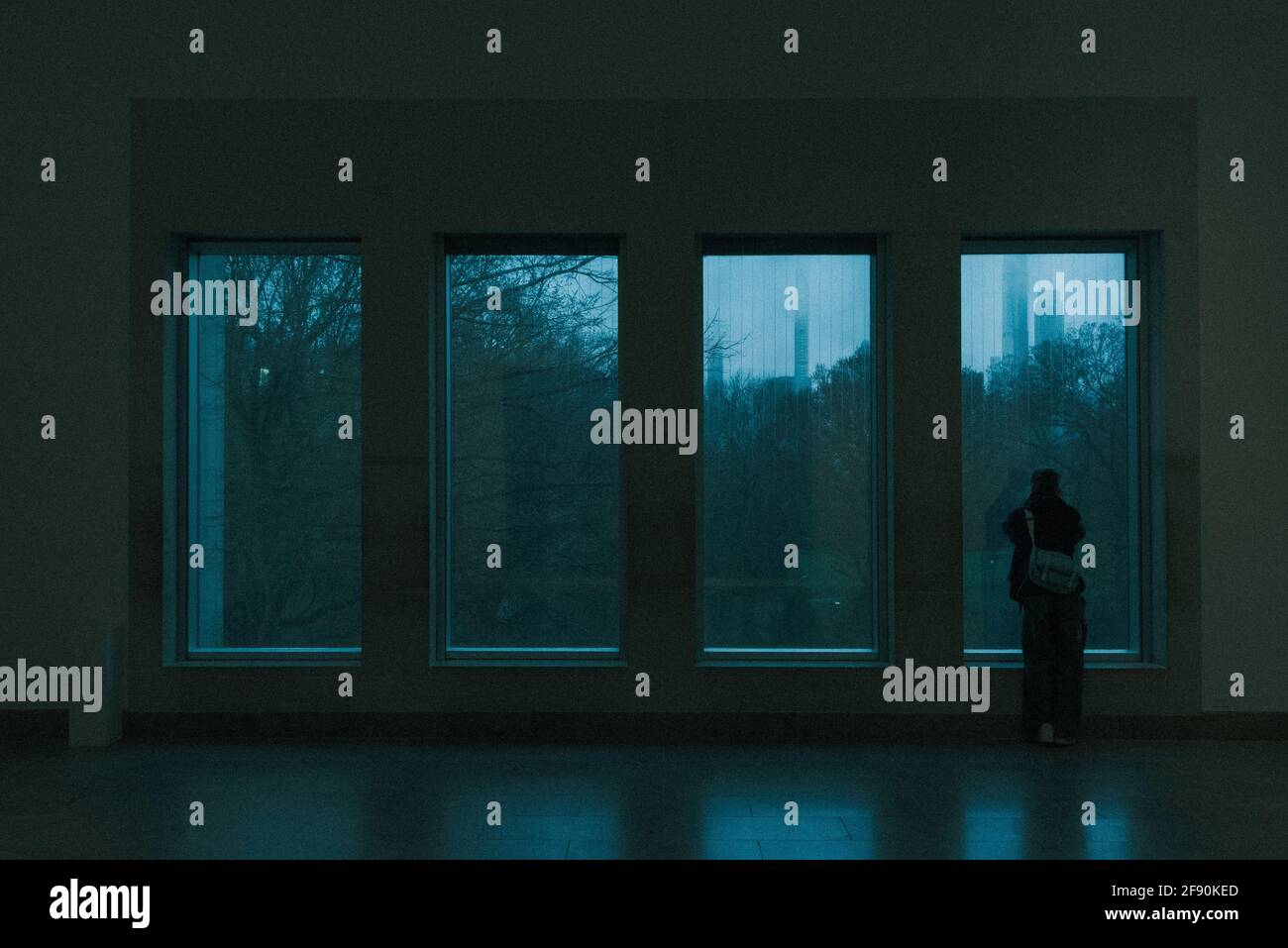 A gloomy view of Central Park from the Metropolitan Museum of Art, in ...